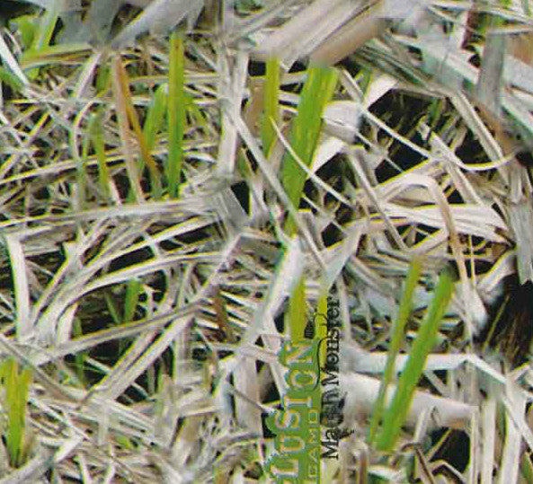 HCA021 - Elusion Marsh Monster (100cm) – Atlantic Hydro